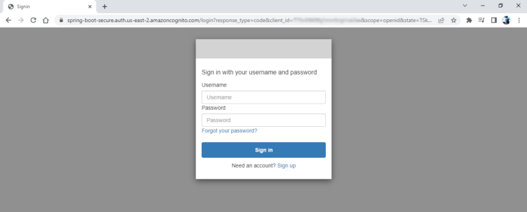 Spring Boot Role-Based Authentication with AWS Cognito
